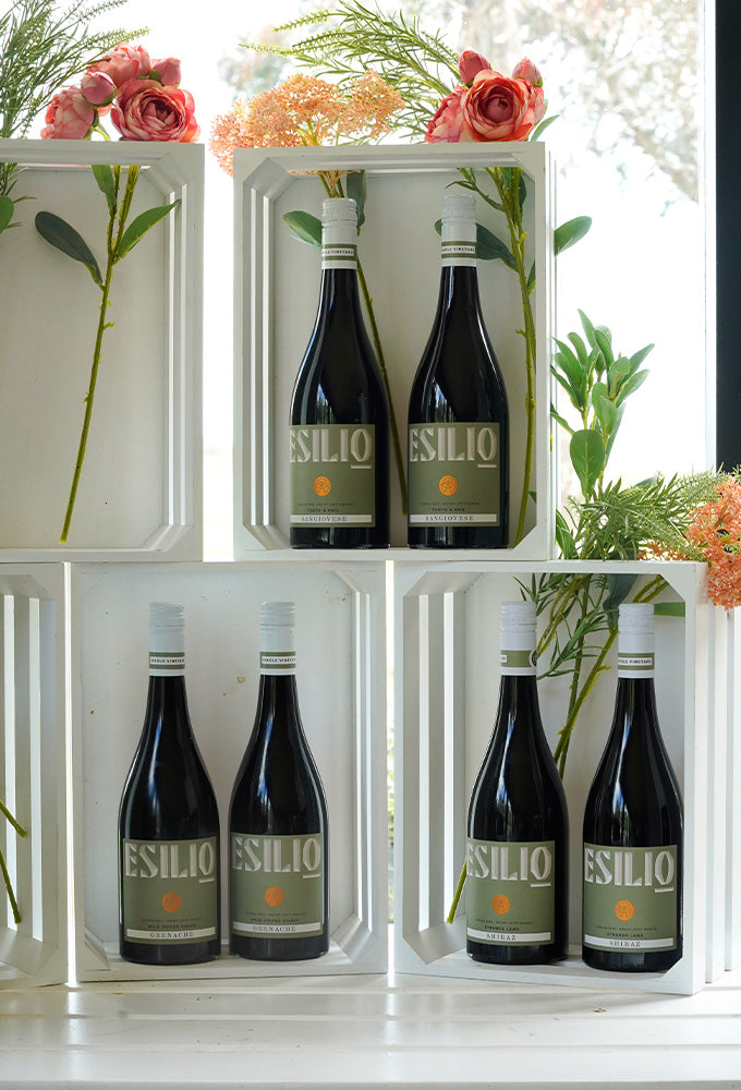 Mixed Red 6 Pack – Esilio Wines